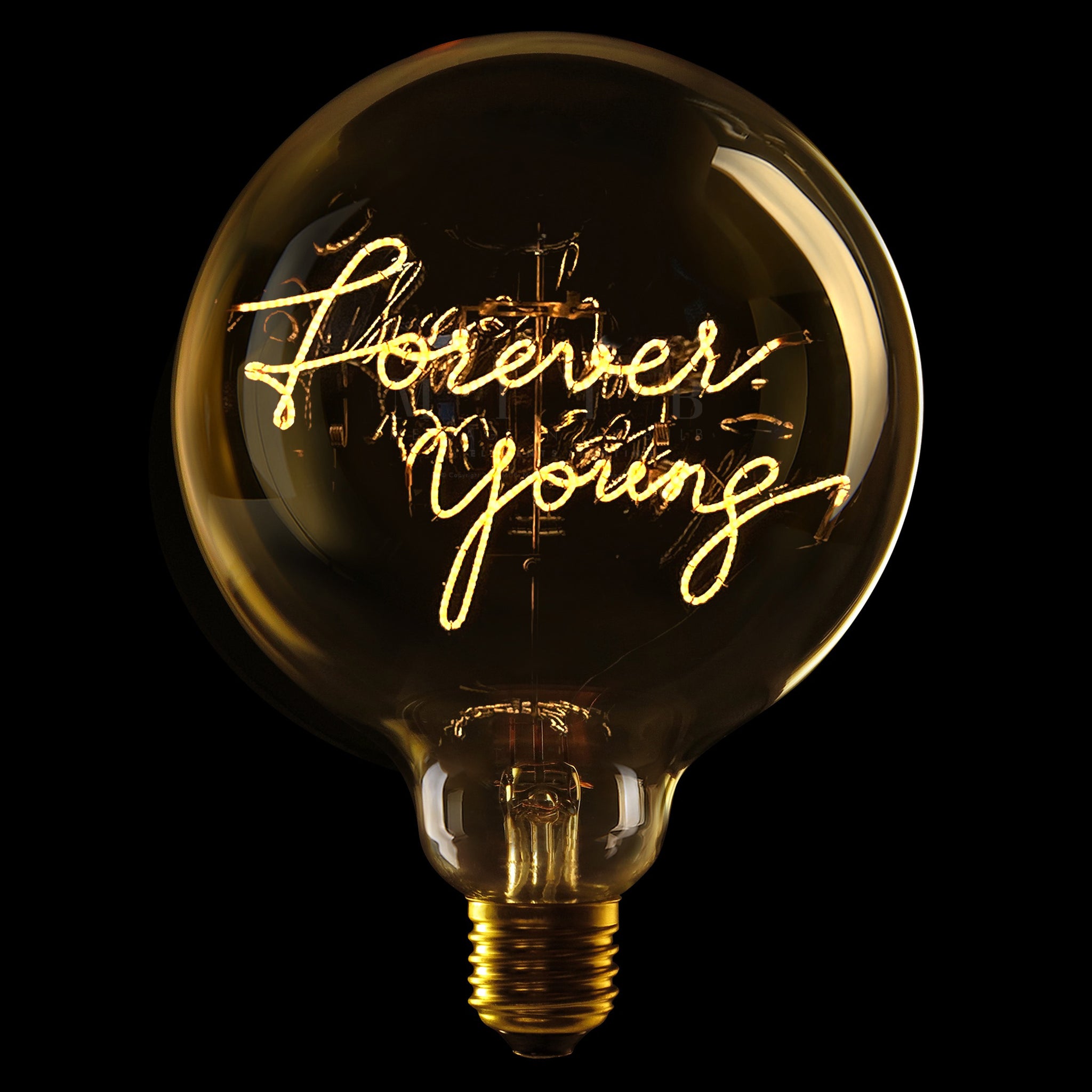 904273 Forever Young LED light bulb